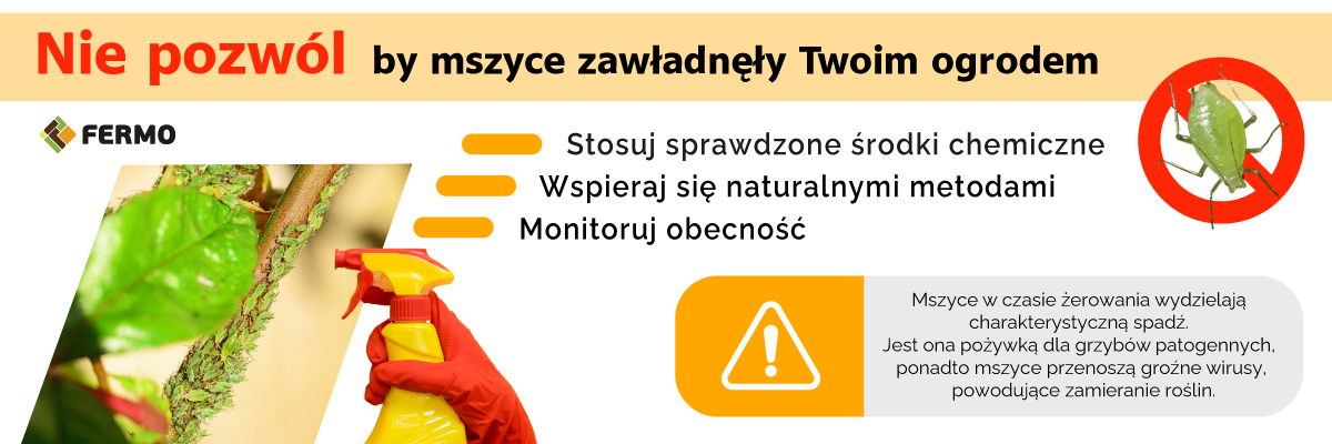 Środki na mszyce - chemiczne i naturalne zwalczanie mszyc